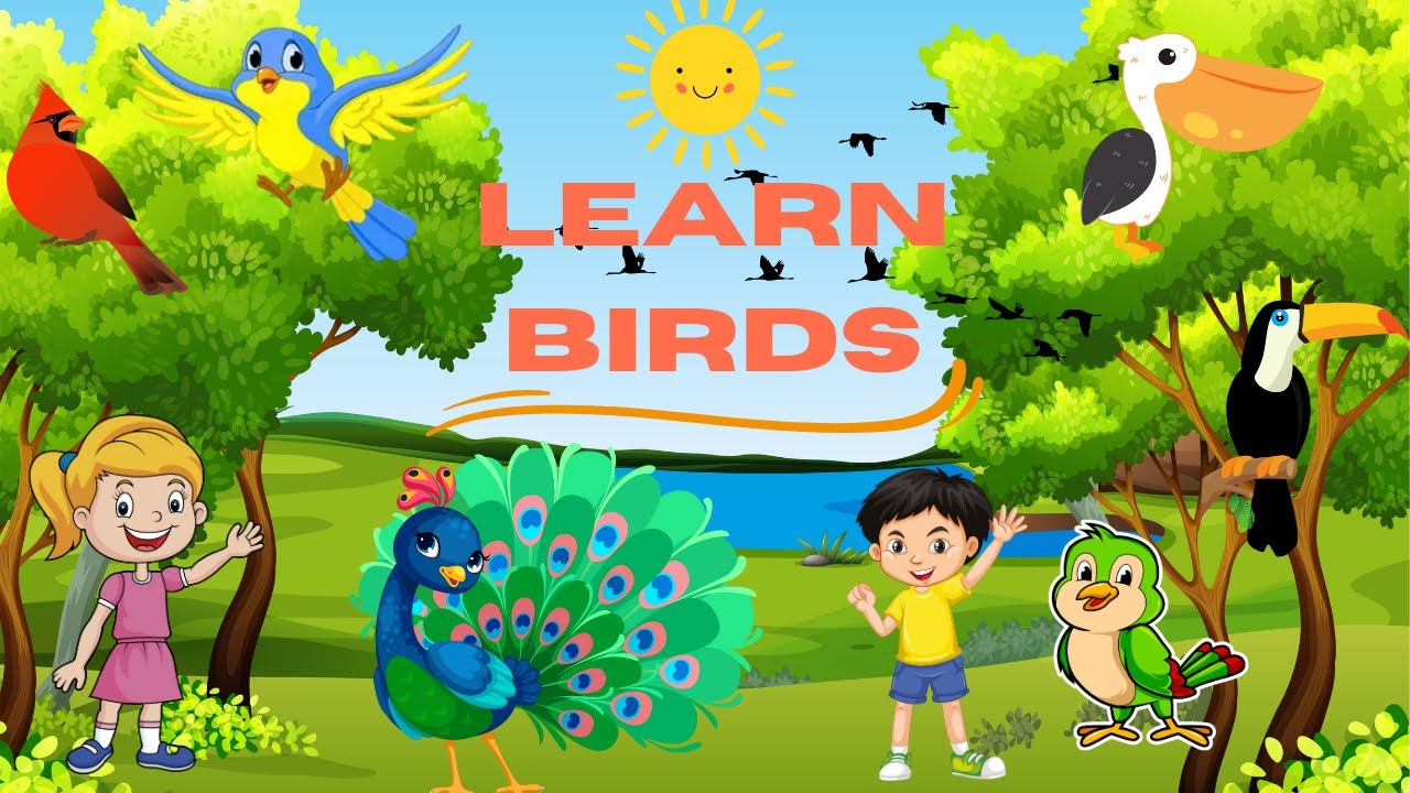 Learn birds name with picture for kids and toddler - YouTube