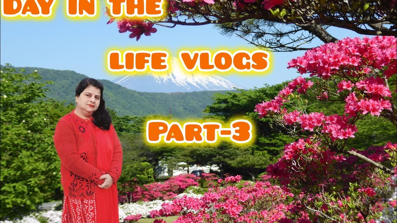 Day in the life vlogs // vlog video my first vlog #blogger #vlogging ...