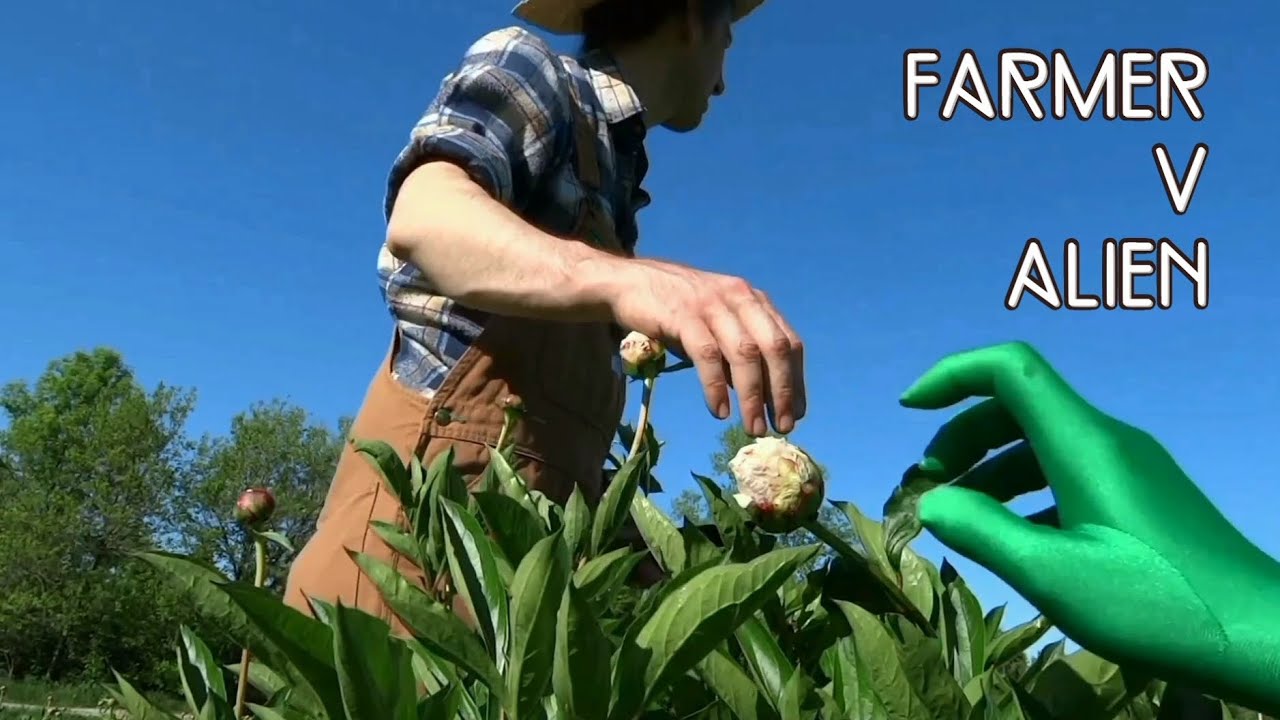 Farmer V Alien: Wiz-terminator Saves the Peonies - YouTube