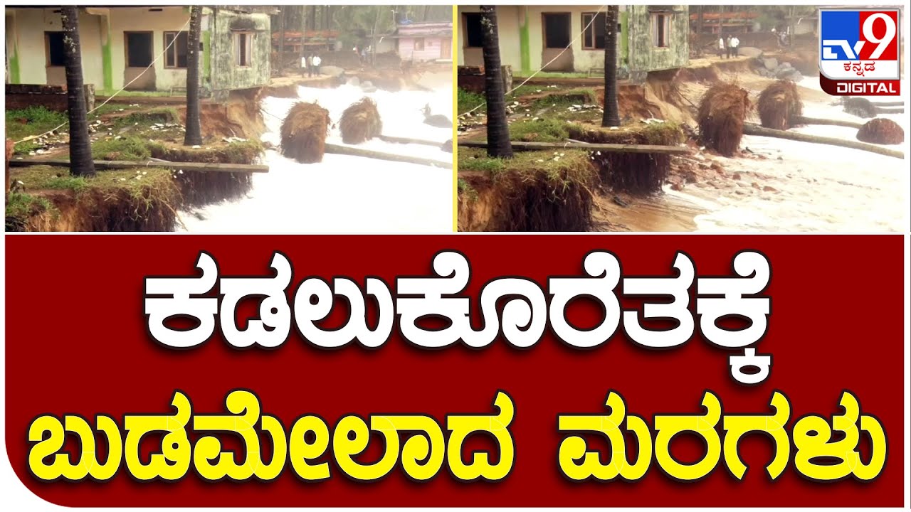 Bipar Joy: ಮಂಗಳೂರಿನಲ್ಲಿ ಕಡಲುಕೊರೆತಕ್ಕೆ ಬುಡಮೇಲಾದ ಮರಗಳು | #TV9B - YouTube