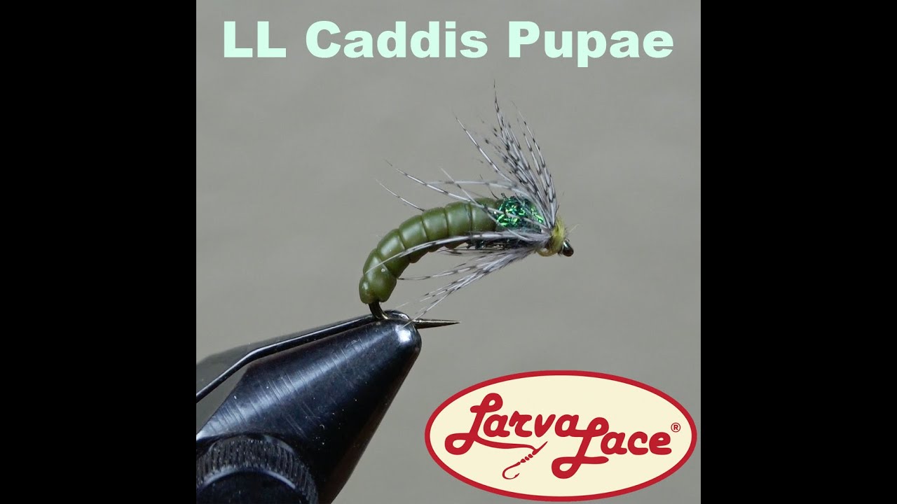 Only three materials needed to tie this Caddis! Fly tying Larva Lace ...