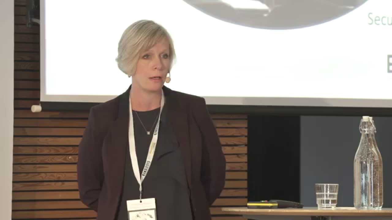 Viveka Lyberg Åhlander - Voice use and vocal comfort in Swedish ...