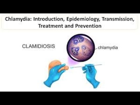 Morphology of Chlamydia Trachomatis ; Elementart bodies, Initial Bodies ...