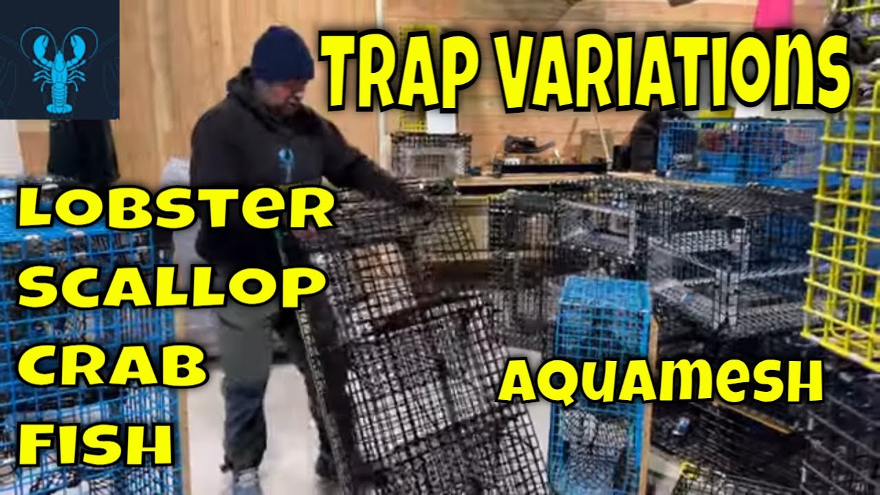 Traps Galore: Explore Different Varieties! - YouTube