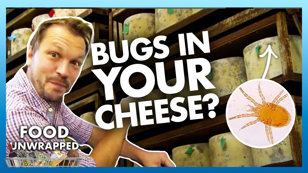 There are mites in our cheese? 🪲 - YouTube
