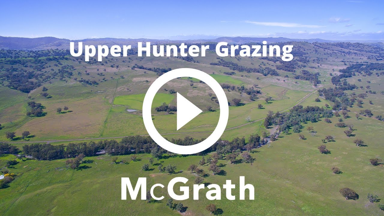 Large Upper Hunter grazing property for sale. - YouTube