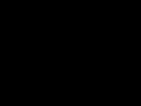 tanz im quadrat mitnichten lichtlos im fluc 2011-7-23.MPG