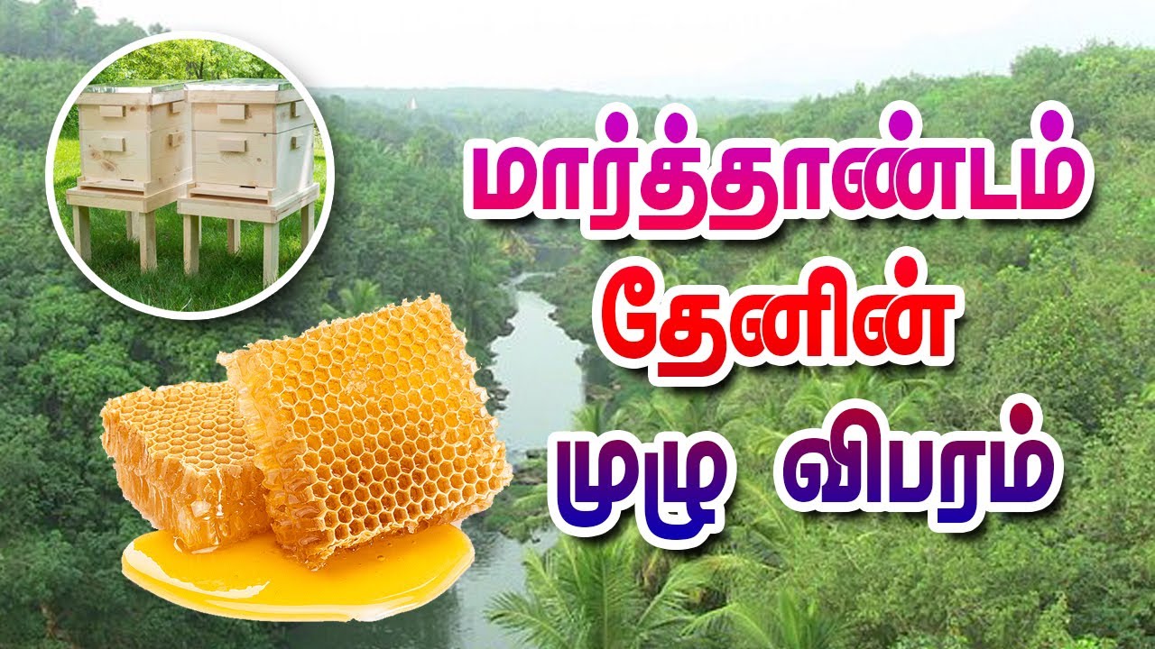 MARTHANDAM HONEY DETAILS - YouTube
