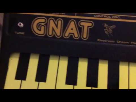 Electronic Dream Plant (EDP) Gnat synth & Spider Sequencer combination ...