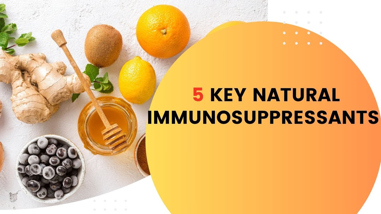 5 Key Natural Immunosuppressants - YouTube