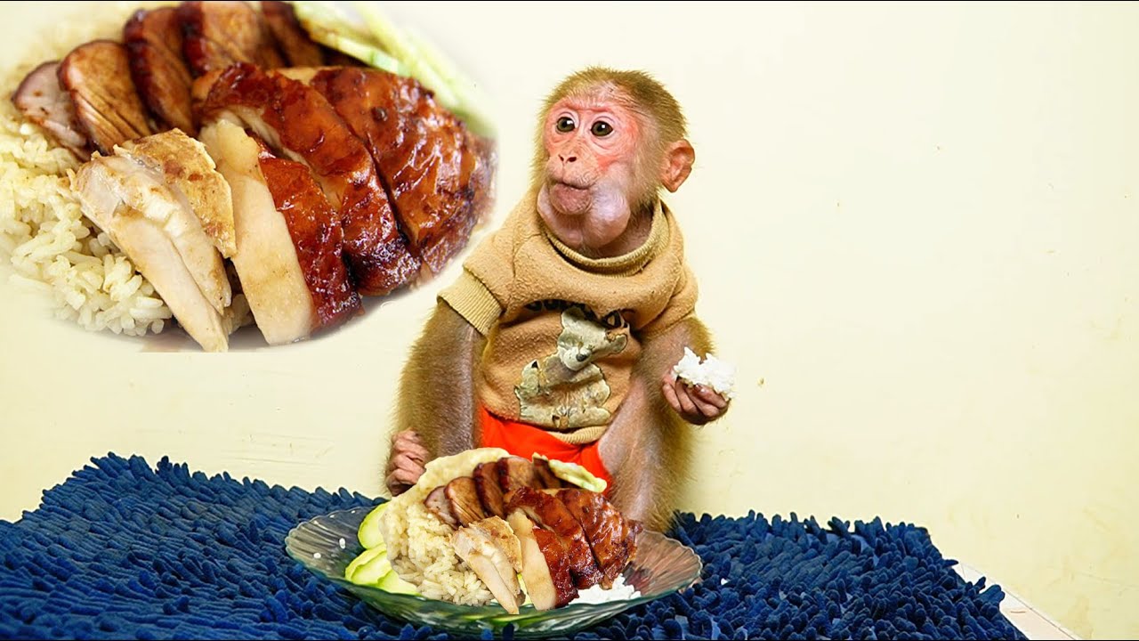 Happy day Aroy Having Pork Rice with Vegetable - YouTube