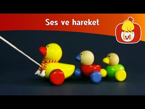 Ses ve hareket - Ağaçkakan, Luli TV