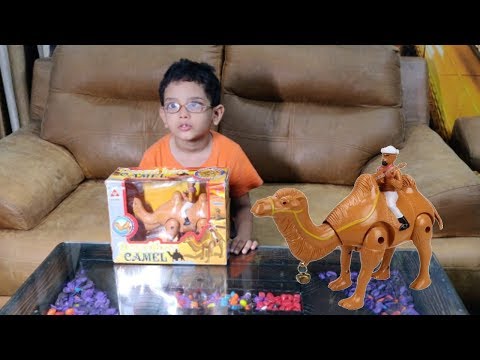 Dancing and Musical Hero Desert Camel Toy playing toys for kids