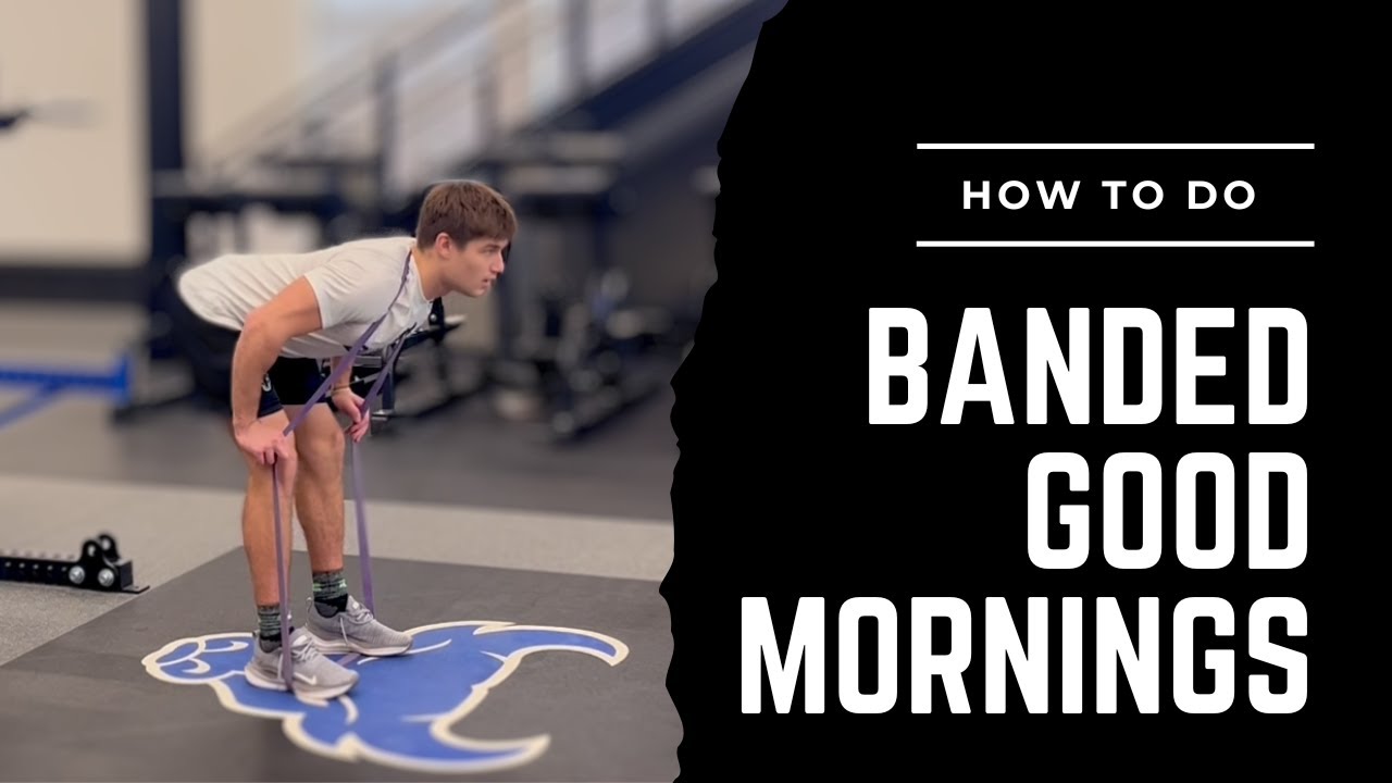 Banded Good Mornings (Exercise Library) - YouTube