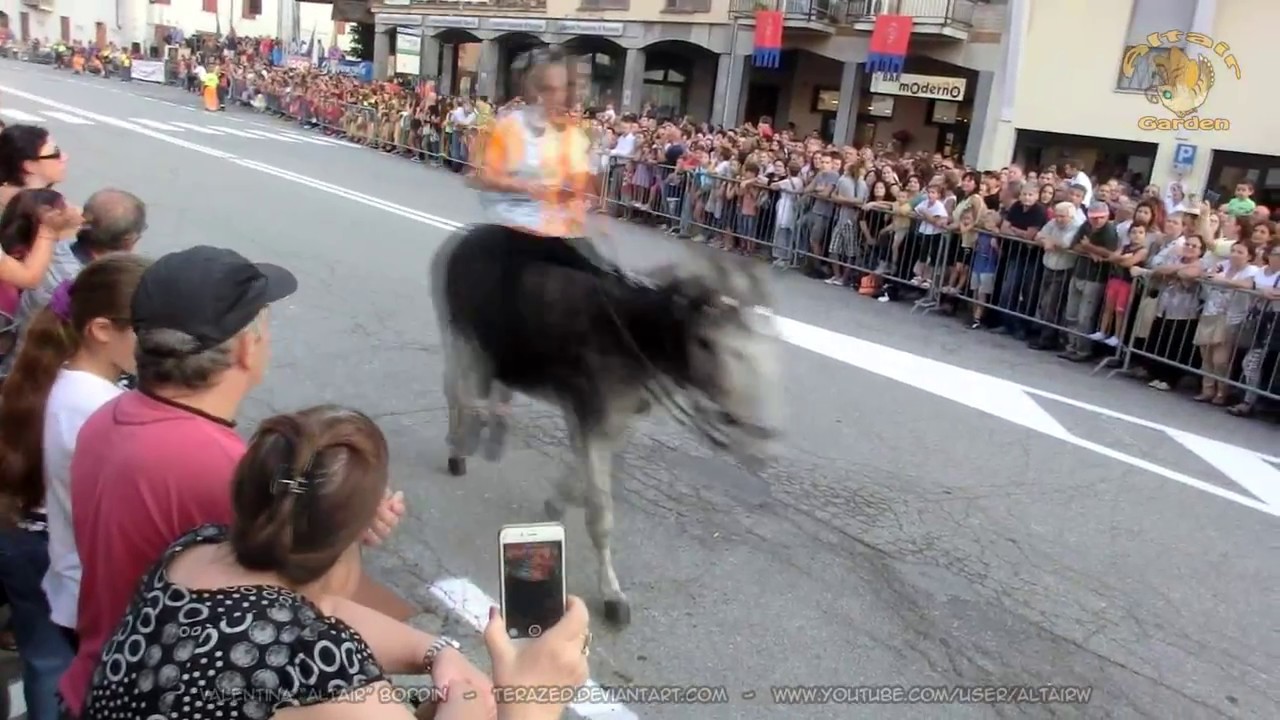 Donkey Palio at Cameri, Italy - YouTube