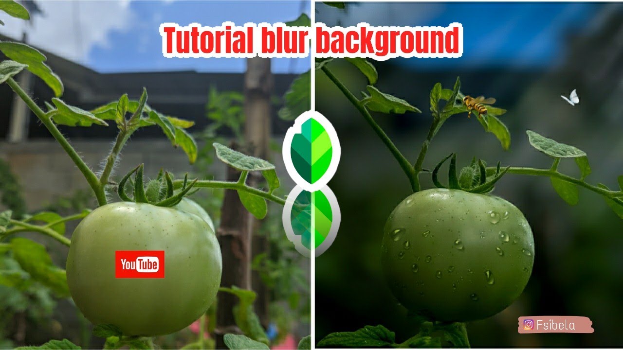 blur background white snapseed||photo editing tutorial. - YouTube