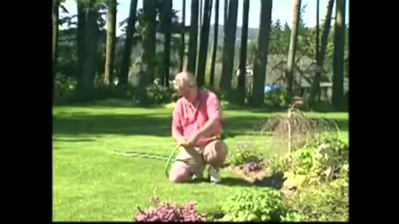 Contech ScareCrow Outdoor Animal Deterrent - CRO102 - YouTube