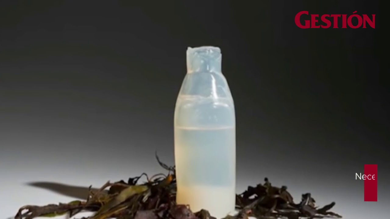 Las botellas biodegradables ofrecen una solución al problema plástico ...