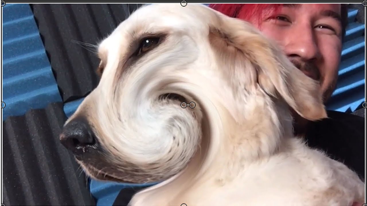Markiplier's Photobooth Fun w - CHICA #16! - YouTube
