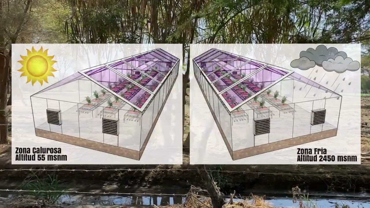 PROYECTO INVERNADERO INTELIGENTE - YouTube
