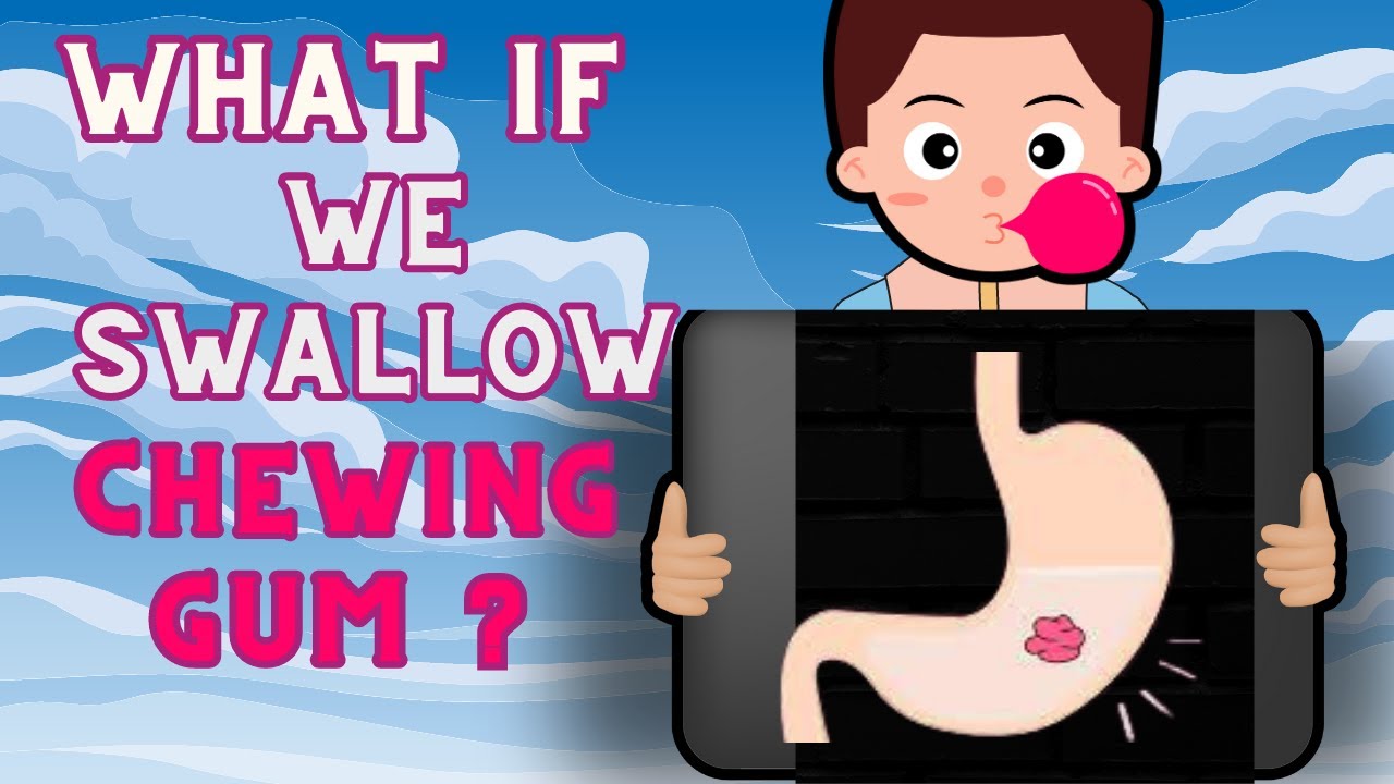 What If We Swallow Chewing Gum? | Gummy Adventures | Riddles2Relate ...