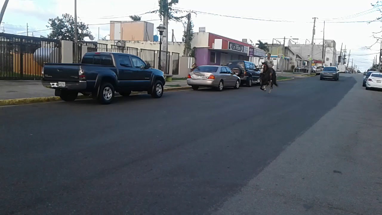 El jako - YouTube