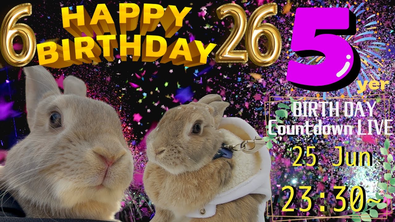 MUGI Happy Birthday 5yer カウントダウンライブ countdown live 2025 - YouTube