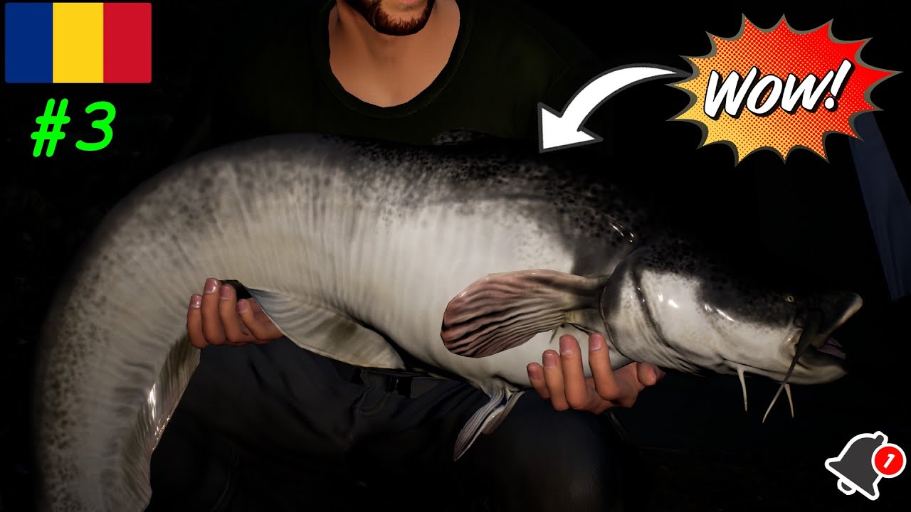Euro Fishing Romania-Record/Incredibil La Ce A Intrat Somnul - YouTube