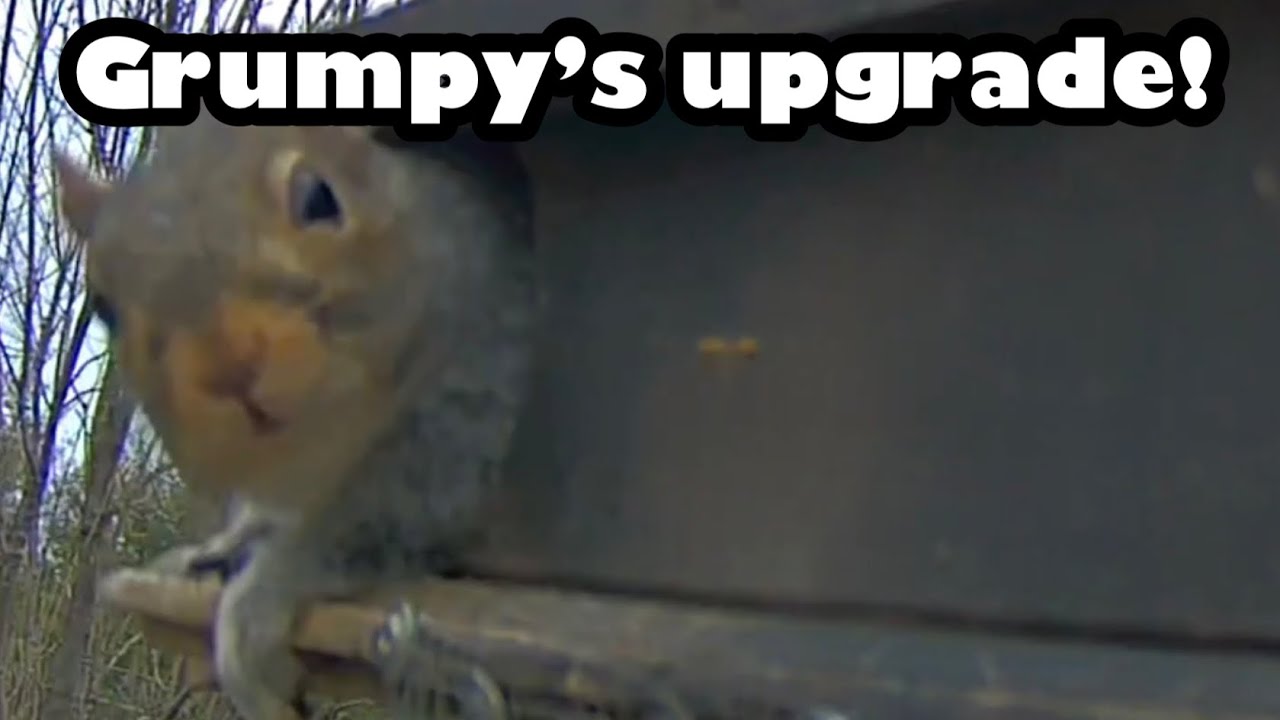 Grumpy’s home upgrade - Feb 17/18, 2022 - YouTube