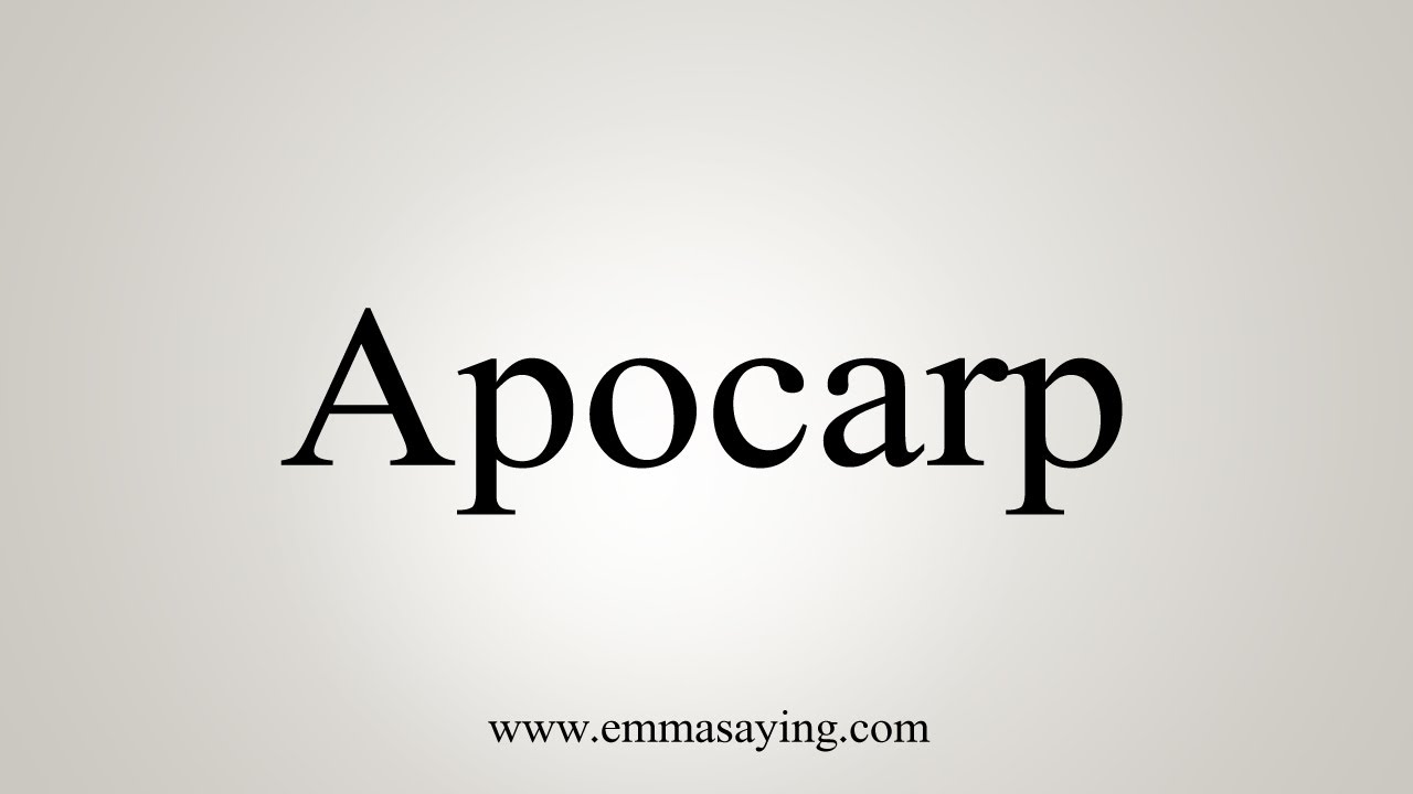 How To Say Apocarp - YouTube