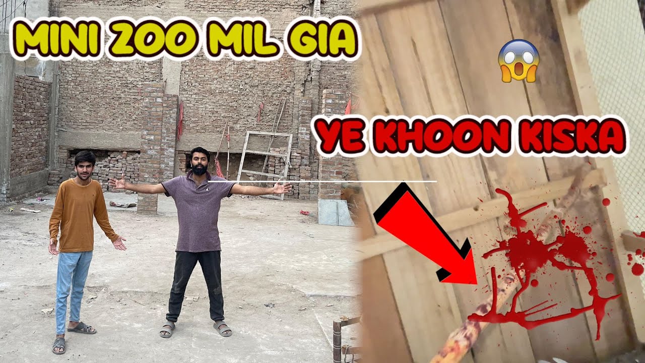 Jinn baba k aastane par Qabza karlia 😎| Mehran Pets Vlog - YouTube