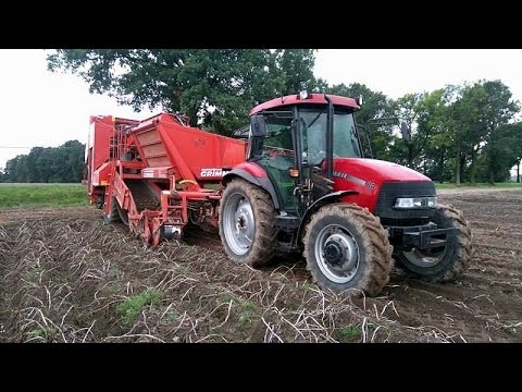 Kopanie Ziemniaków 2016 - Grimme SR 80-40, Case JX 80, John Deere 6820 ...