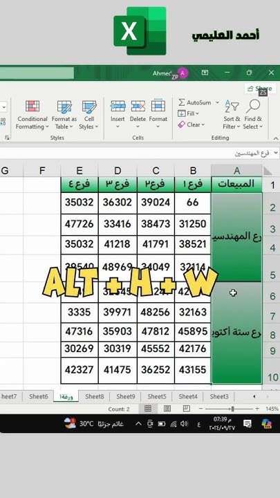 اوعي تعمل ذي صاحبي علي برنامج الاكسل😎💚 #excel #اكسبلور #excelclub #exceltips #exceltricks #اكسل ...