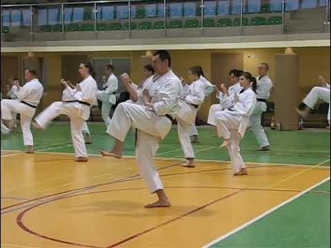 KURURUNFA Kata, SLOW !!! Seminarium Goju Ryu Karate Do Seiwa Kai, Marki, Poland 2011 480p - YouTube