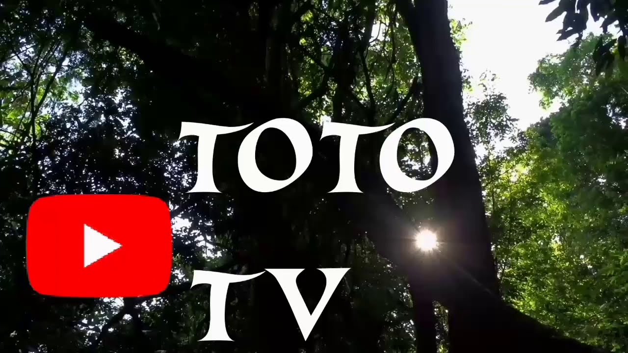 EPEKTO NG BAGYONG ROLLY NAKATULOG SA LAKAS NG ULAN|Toto Tv #prank - YouTube