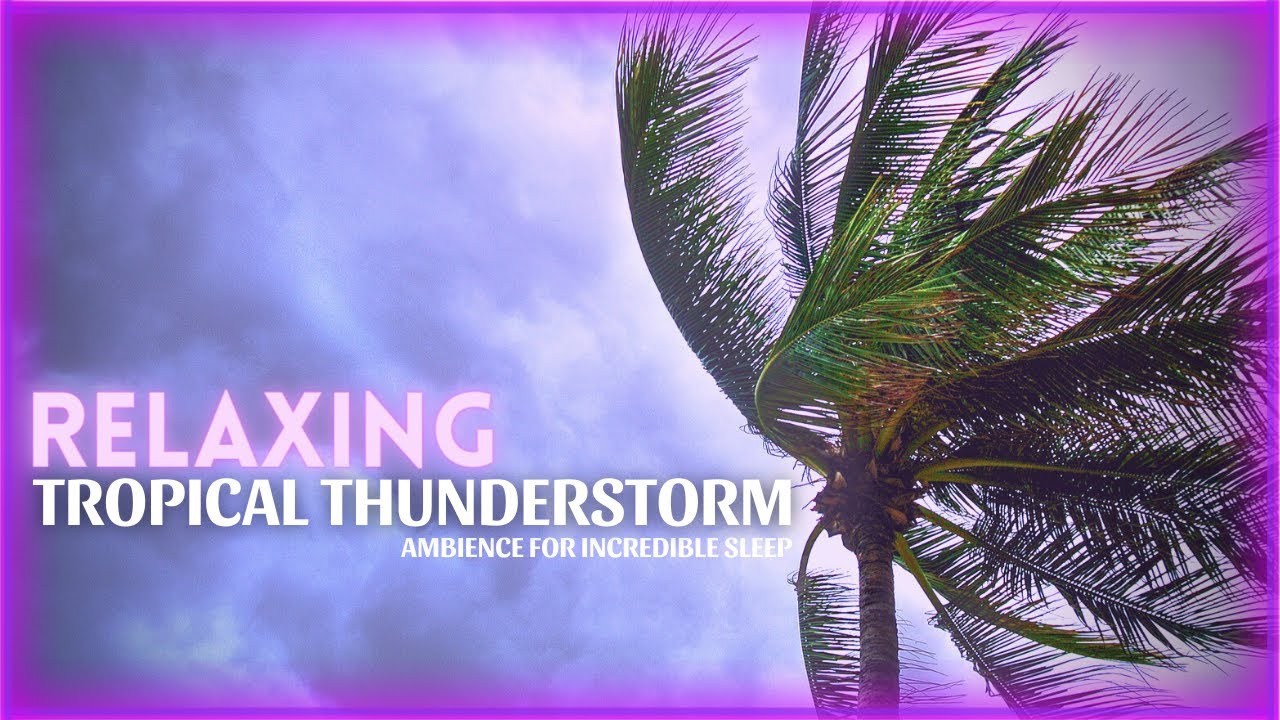 Tropical Thunderstorm ASMR | Satisfying Sounds For Sleep And Relaxation ...