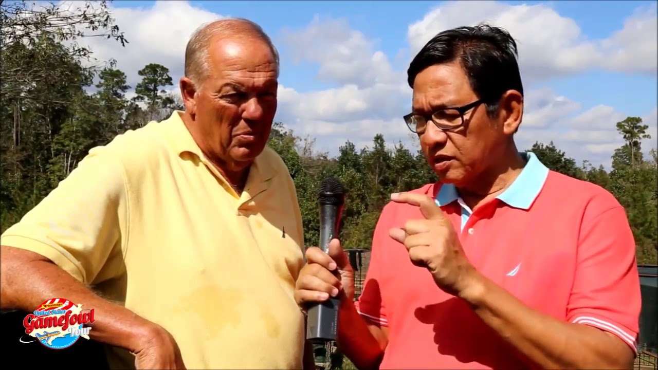 Episode 191 US GAMEFOWL TOUR Gene Batia NAO - YouTube