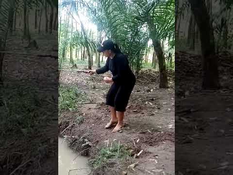 Tante semok mancing gak dapet