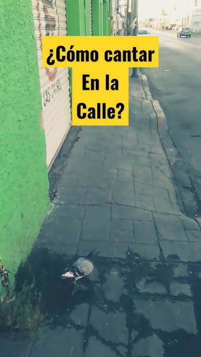 ¿Cómo cantar en la calle? - YouTube