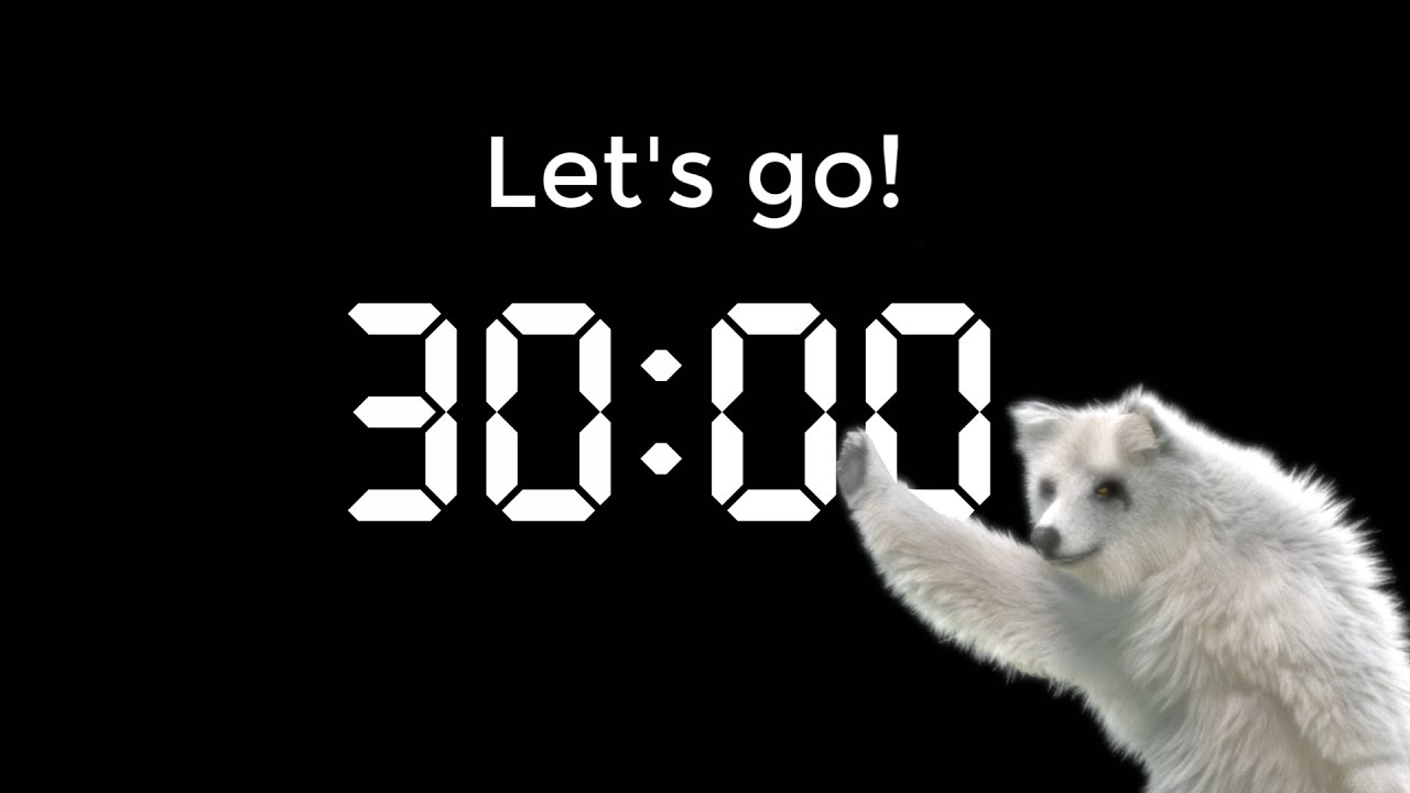 30 Minutes Countdown Timer with Dancing Bear : Happy Music : High Focus ...