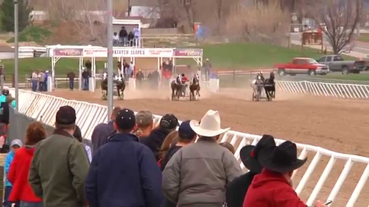 Young Gunz Chariot Racing Worlds #3 - YouTube