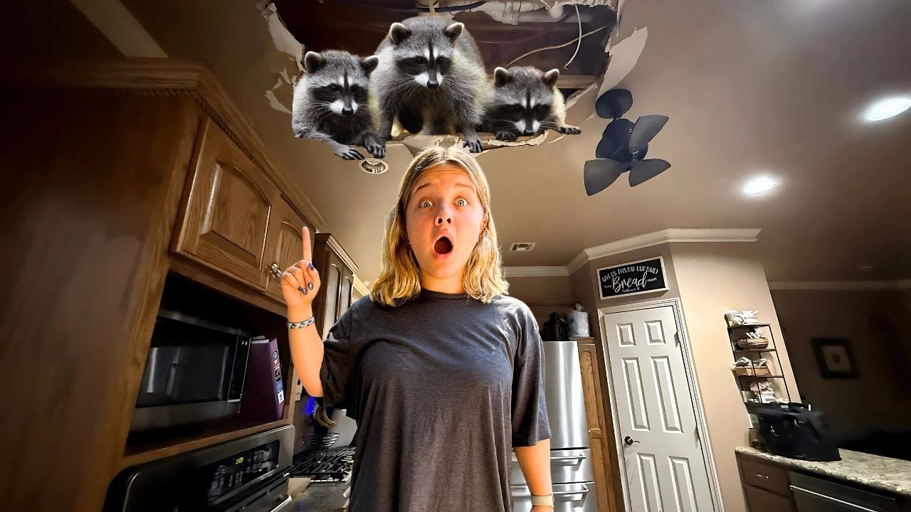 RACCOONs INVADE our HOUSE on the First Day of School for Aubrey and ...