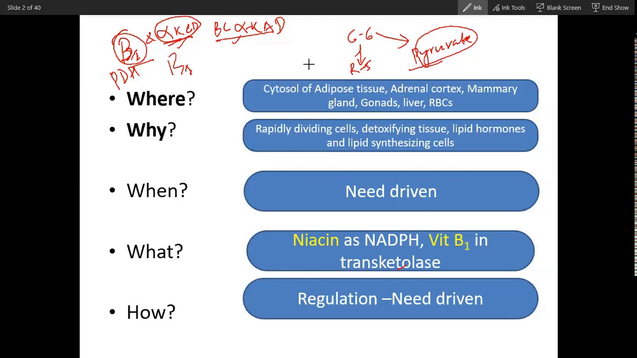 Hexose Monophosphate shunt HMP or Pentose Phosphate Pathway PPP - YouTube