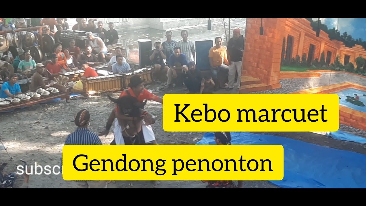 acara manganan full penonton - YouTube