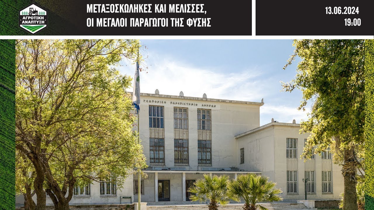 Μεταξοσκώληκες και μέλισσες, οι μεγάλοι παραγωγοί της φύσης - YouTube
