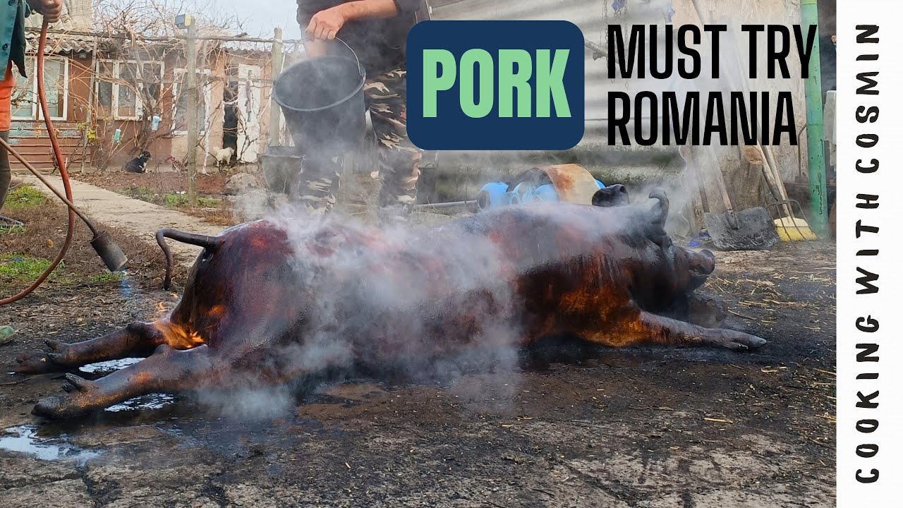 Romanian Pork Feast: 3 Amazing Dishes You Need to Try! 🇷🇴🍖 - YouTube