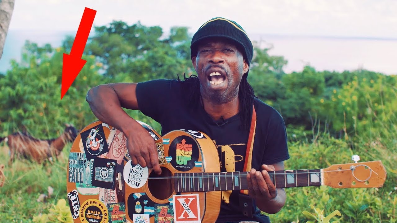 Brushy One String | Picture On The Wall (with the Goat 🐐) - YouTube