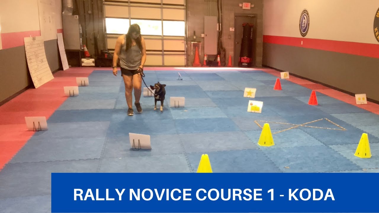 Rally Novice Course #1 - Koda - YouTube