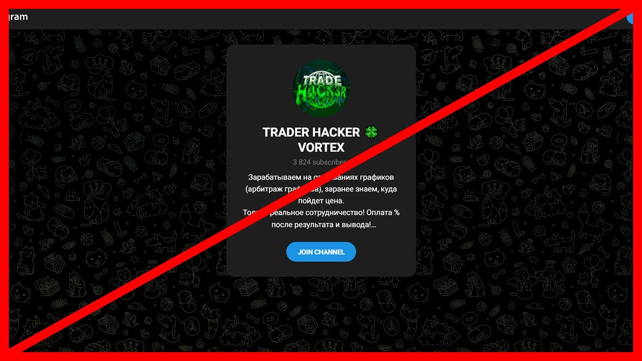 Trader Hacker отзывы о жалком разводе! - YouTube
