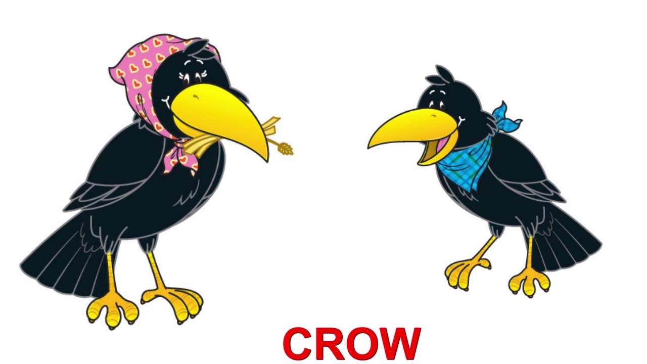 Finger Family Nursery Rhymes | CROW | Bird Finger Family Songs ...